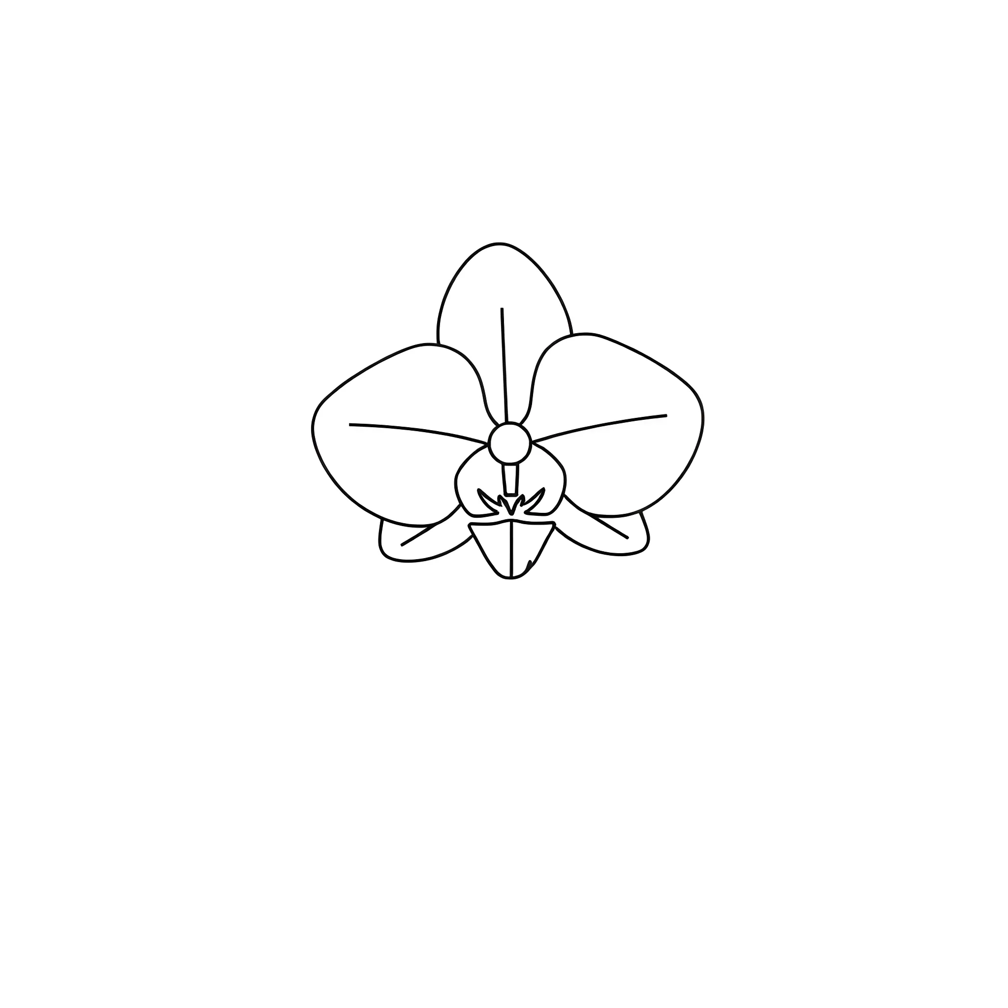 5 Easy Flower Drawings: Simple Ideas for Beginners